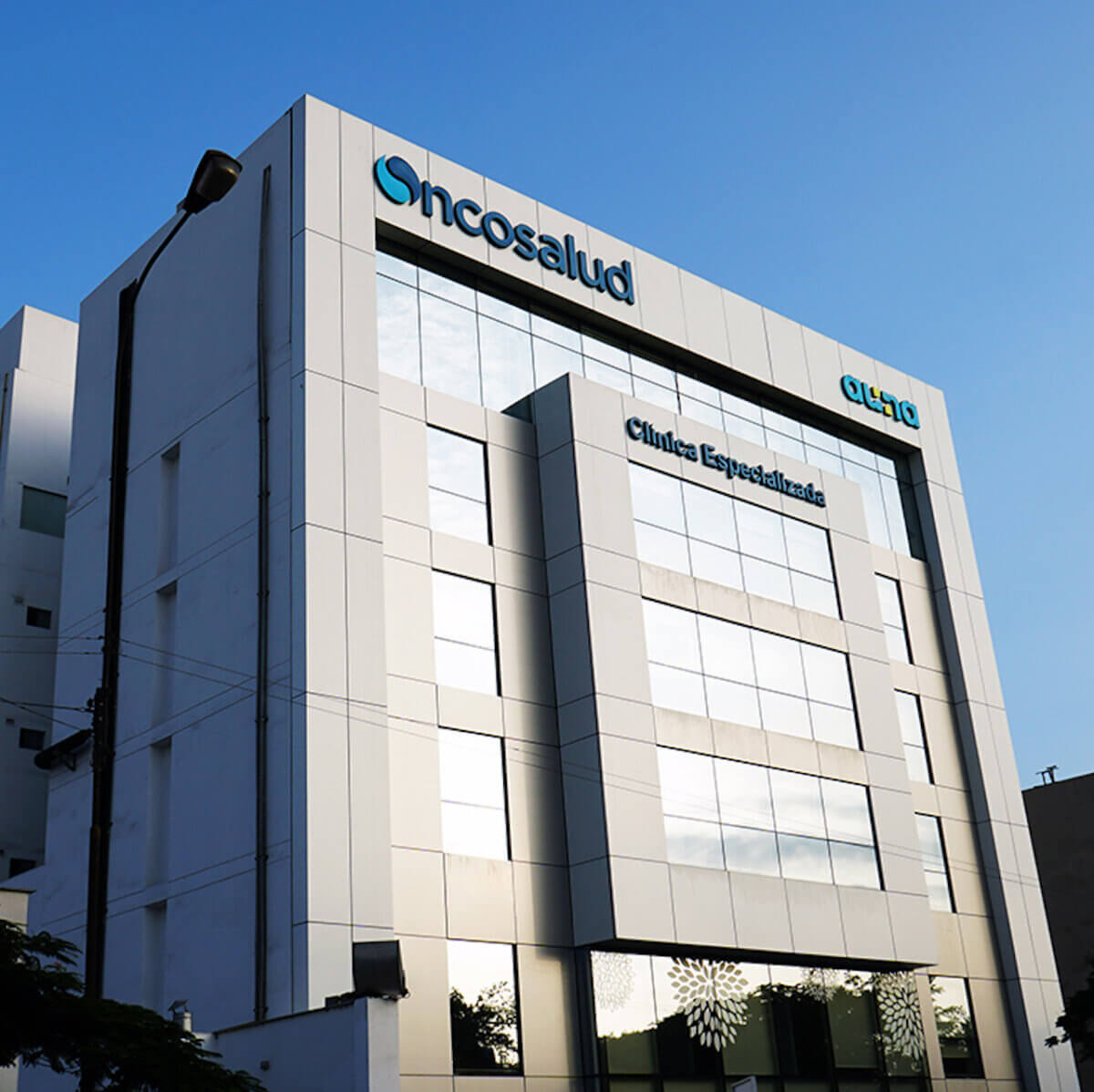 Centros de Investigación - División de Investigación - Auna Ideas